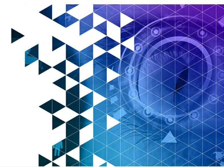Workforce Identity and Access Management Workforce Identity and Access Management